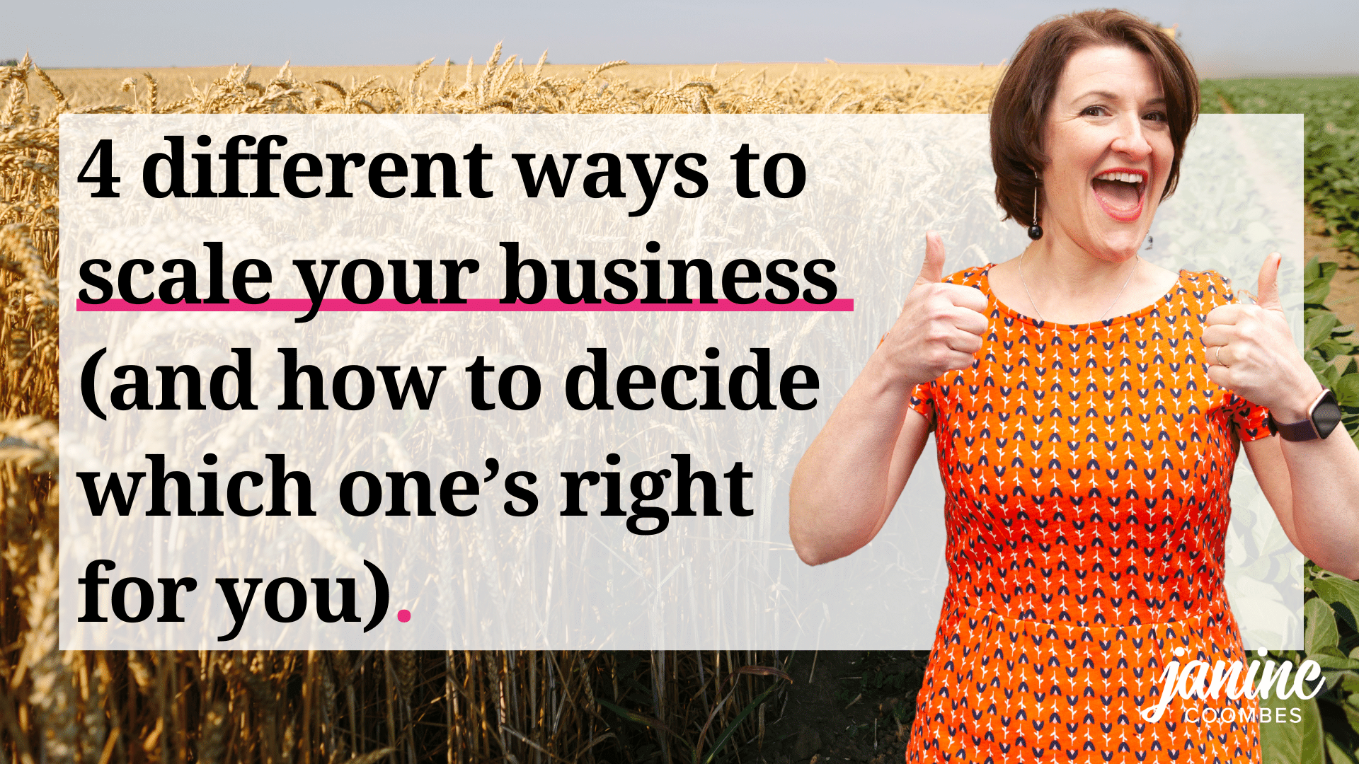 4 different ways to scale your business and how to decide which one’s ...